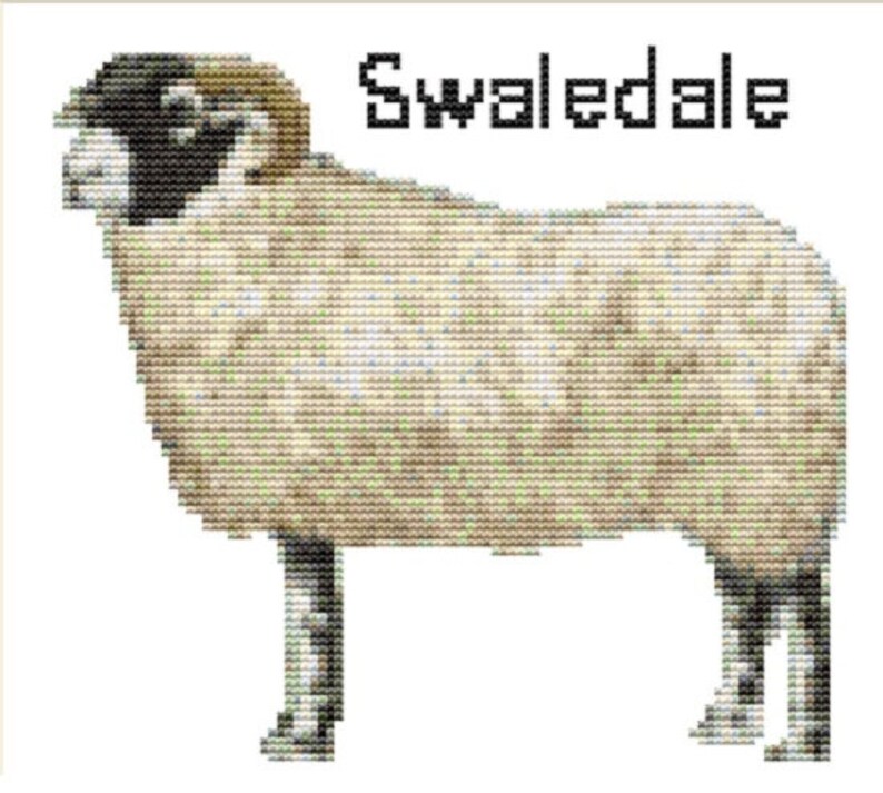 CROSS STITCH KIT Swaledale Sheep 17cm X 15 Cm - Etsy UK