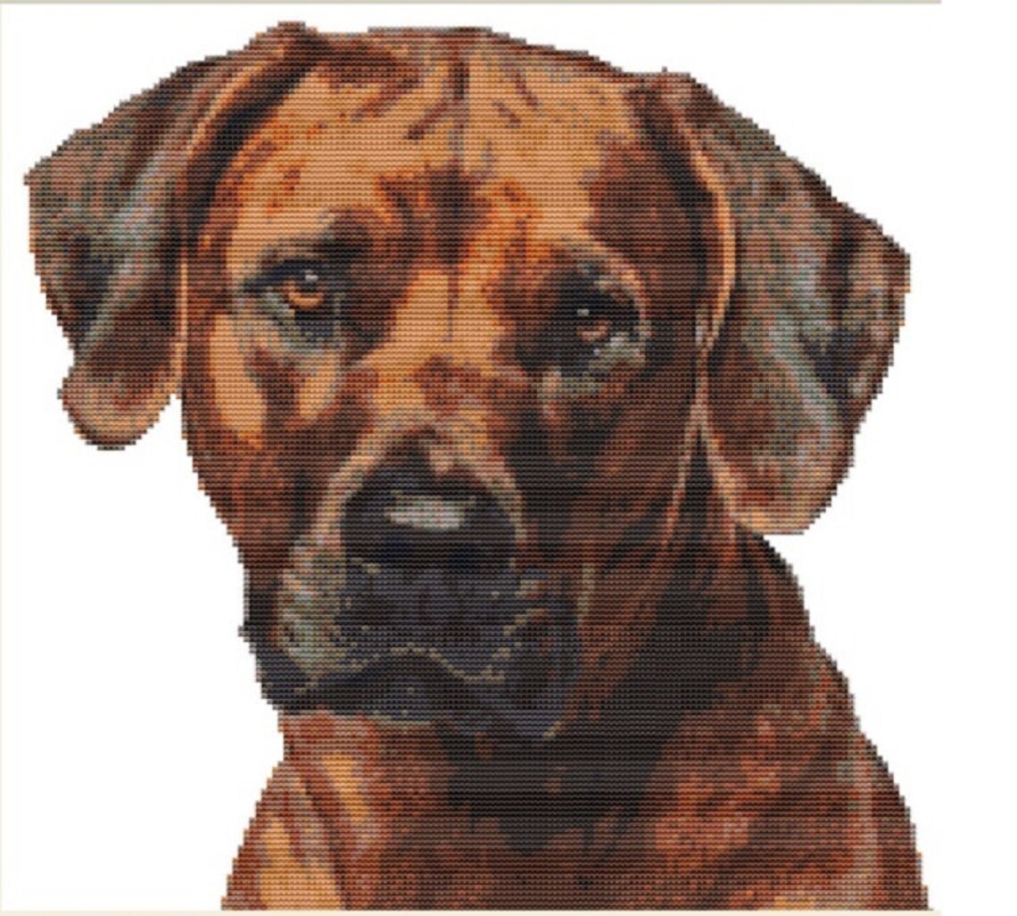 Cross Stitch Kit Rhodesian Ridgeback 24cm X 23cm 14 Count - Etsy