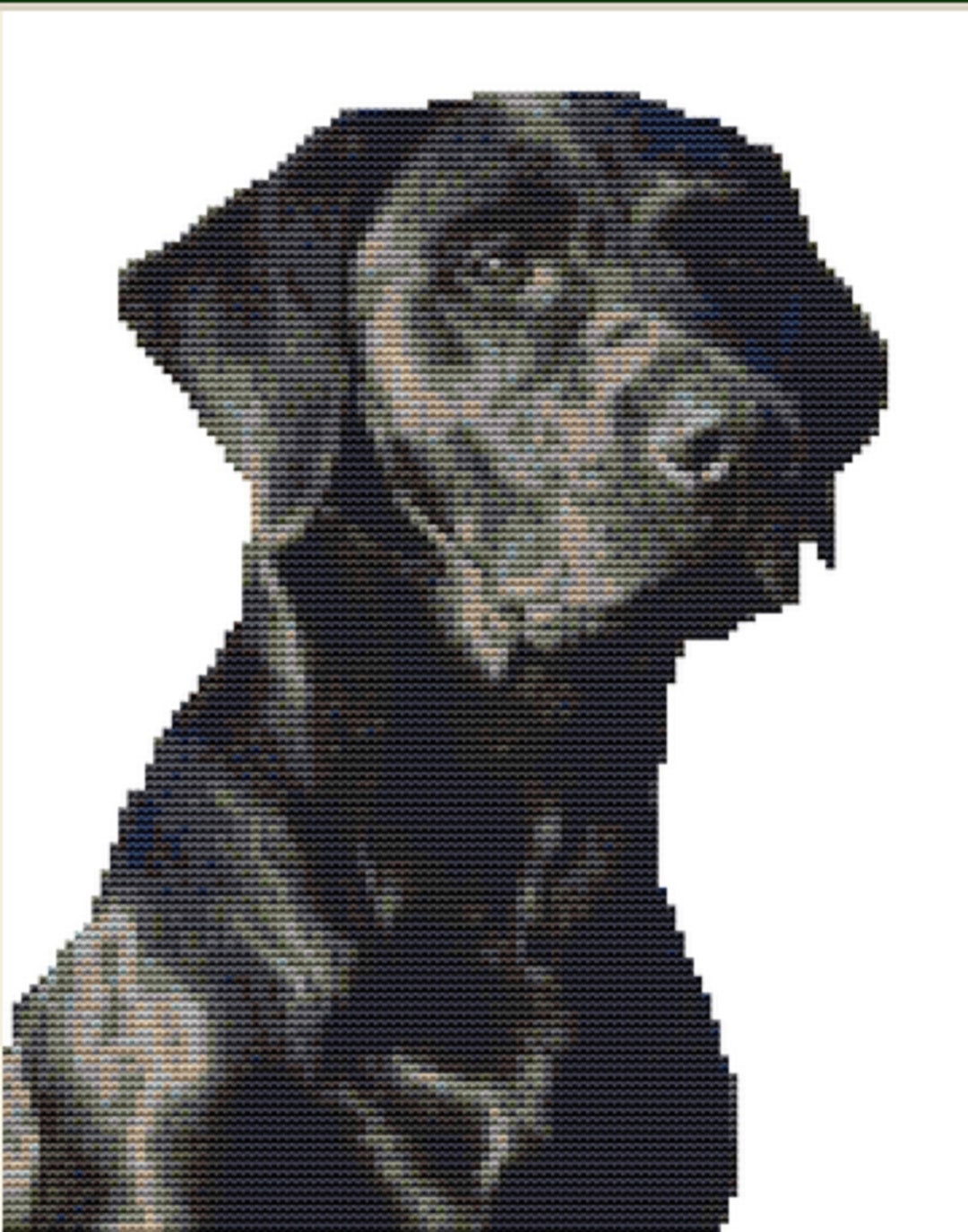 CROSS STITCH KIT Black Lab 18cm X 23 Cm 14 Count - Etsy