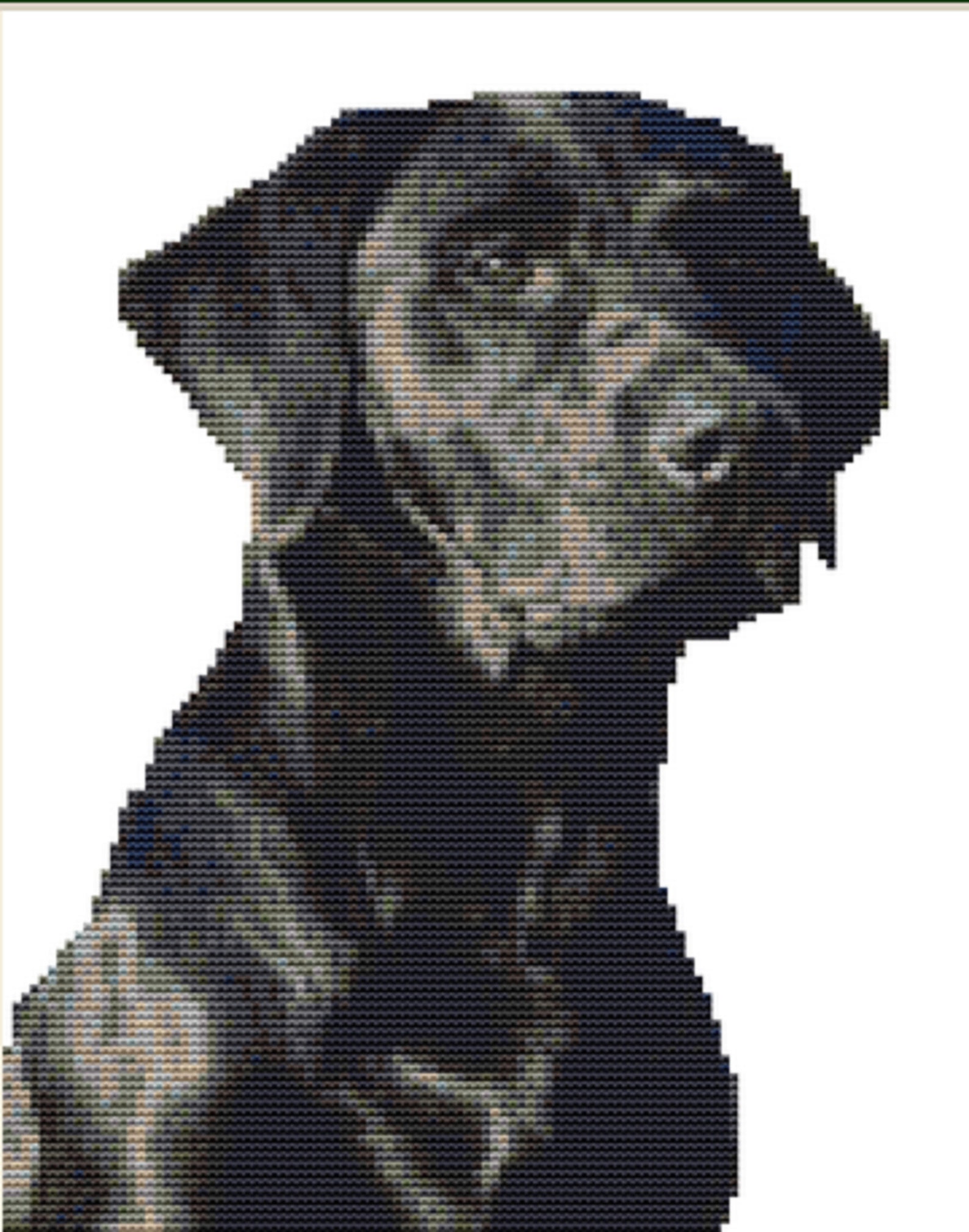 CROSS STITCH KIT Black Lab 18cm X 23 Cm 14 Count - Etsy