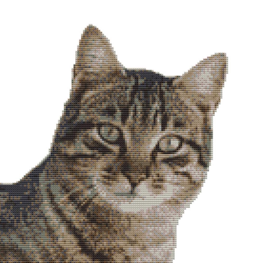 Cross Stitch PDF Tabby Cat Finished Size 21cm X 22cm - Etsy