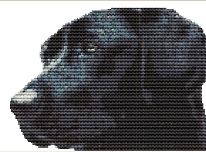 CROSS STITCH KIT Black Labrador 25cm X 18 Cm Full Kit or - Etsy UK