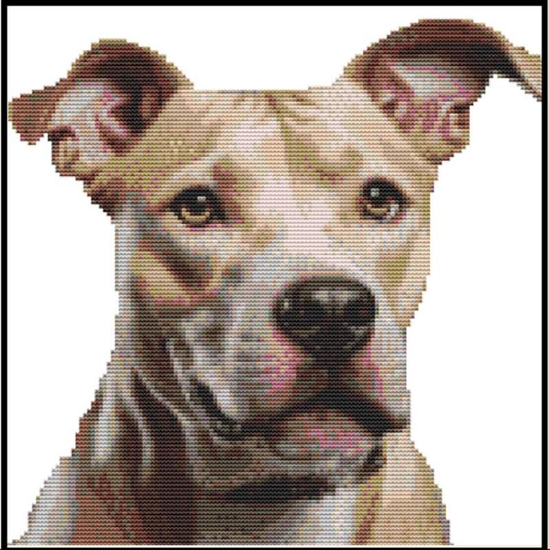 Pitbull Cross Stitch - Etsy