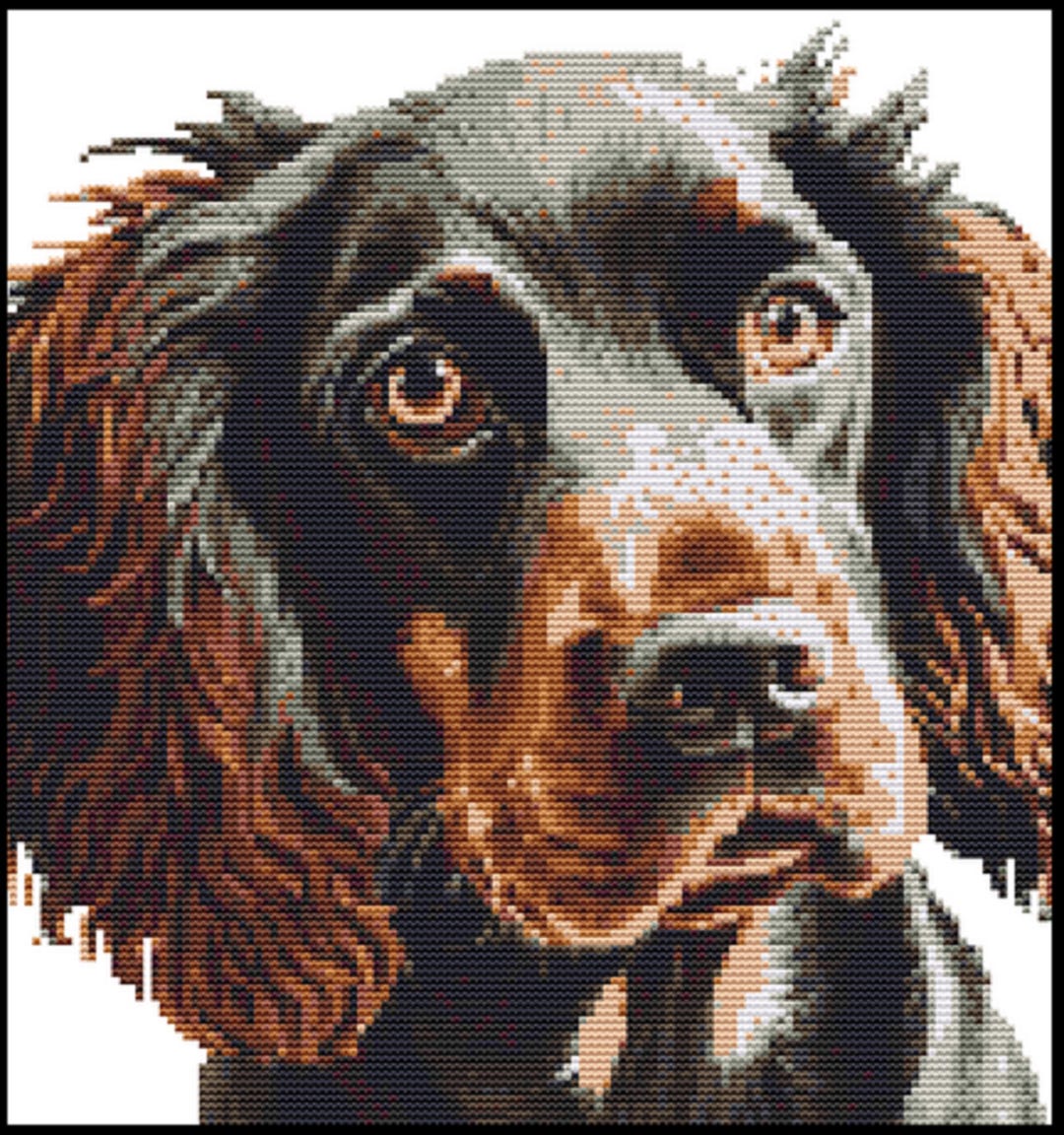 BROWN COCKER Spaniel-cross Stitch Kit 24cm X 25cm - Etsy