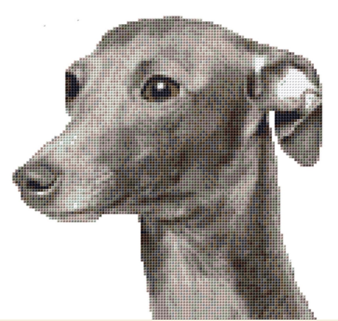 CROSS STITCH KIT- Italian Greyhound 20cm X 19cm 14 Count Full Kit or ...
