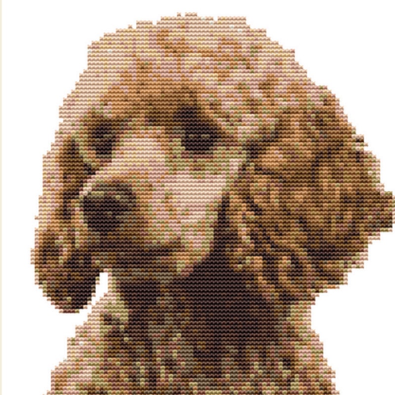 Poodle Cross Stitch - Etsy