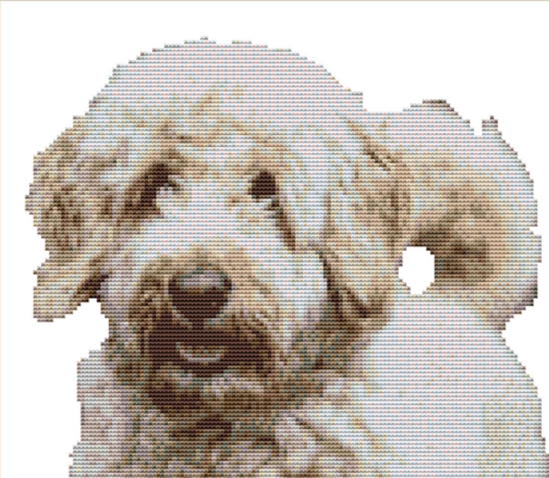 CROSS STITCH KIT- Labradoodle 23cm X 20 Cm 14 Count - Etsy