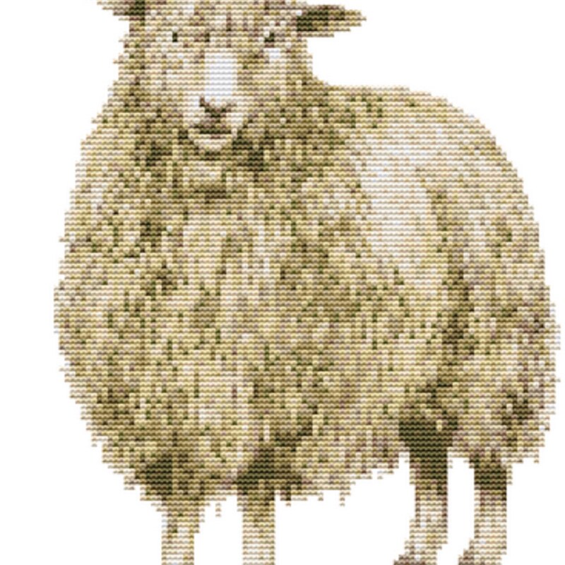 Cross Stitch Sheep - Etsy