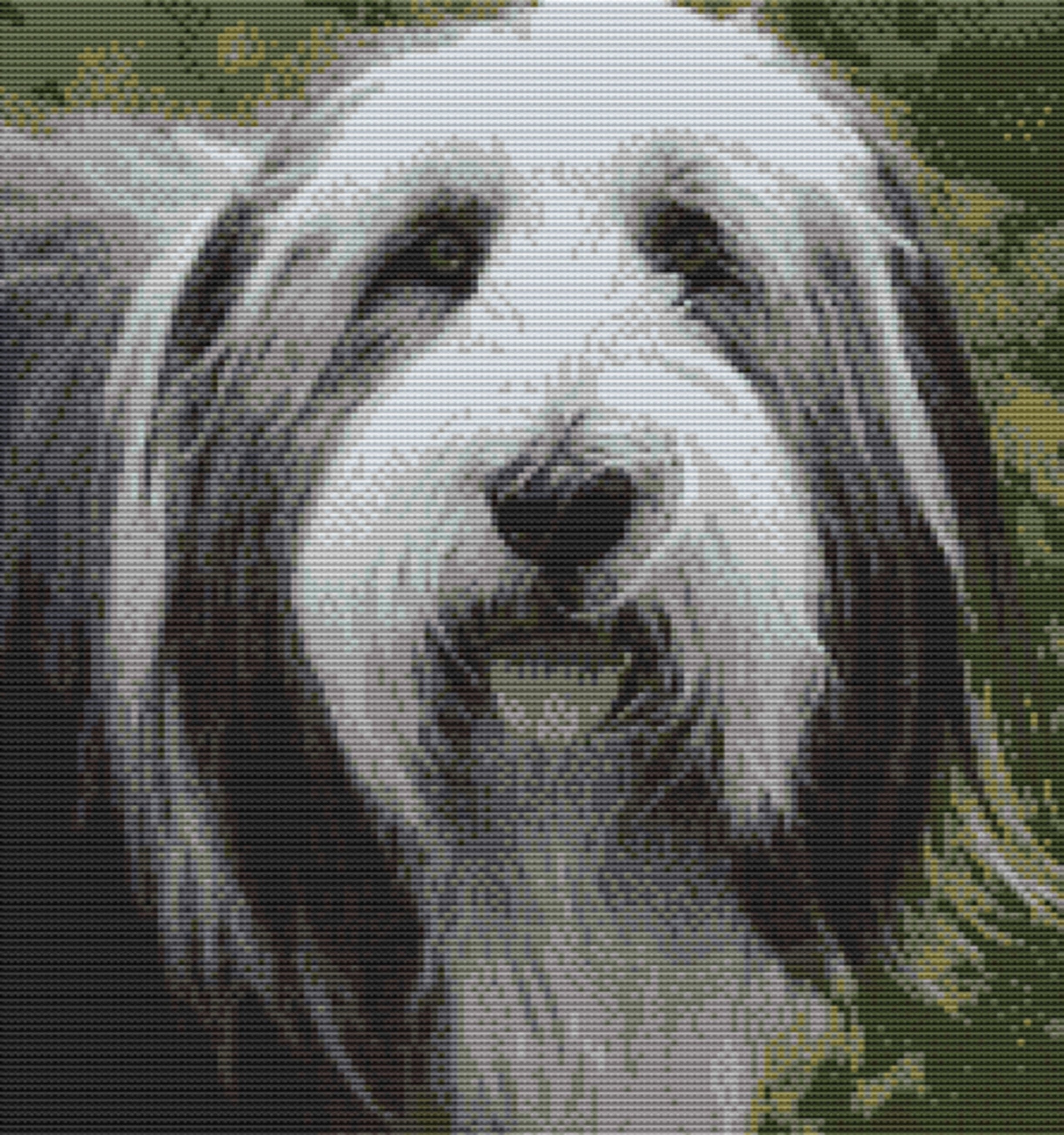 CROSS STITCH KIT Bearded Collie 25cm X 27 Cm 14 Ct Full Kit - Etsy