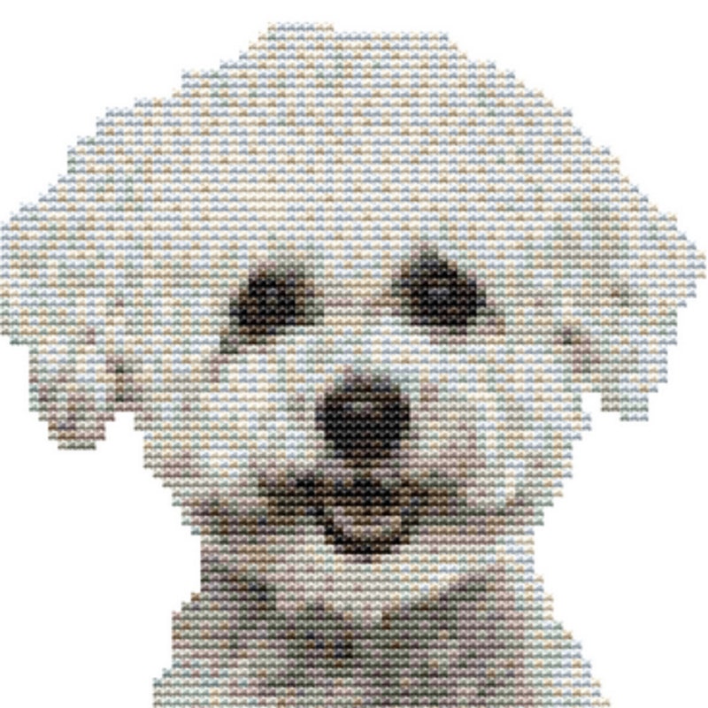 Cross Stitch Kit Bichon - Etsy UK