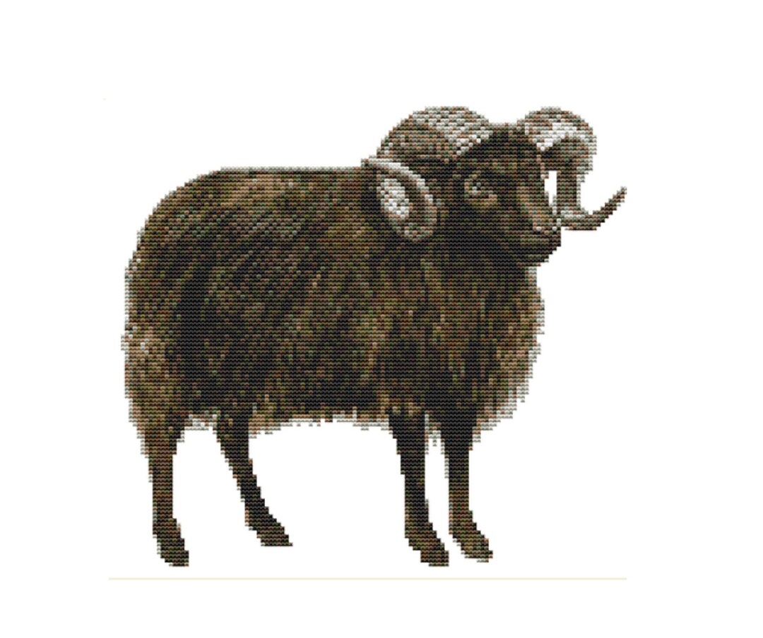 CROSS STITCH KIT - Hebridian Sheep 23cm X 20 Cm 14 Count - Etsy