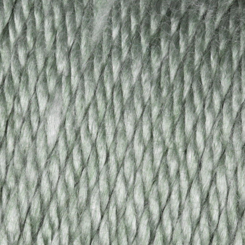 WOODLAND HEATHER - Caron Simply Soft Heathers 5oz / 250yds (141g / 228m ...