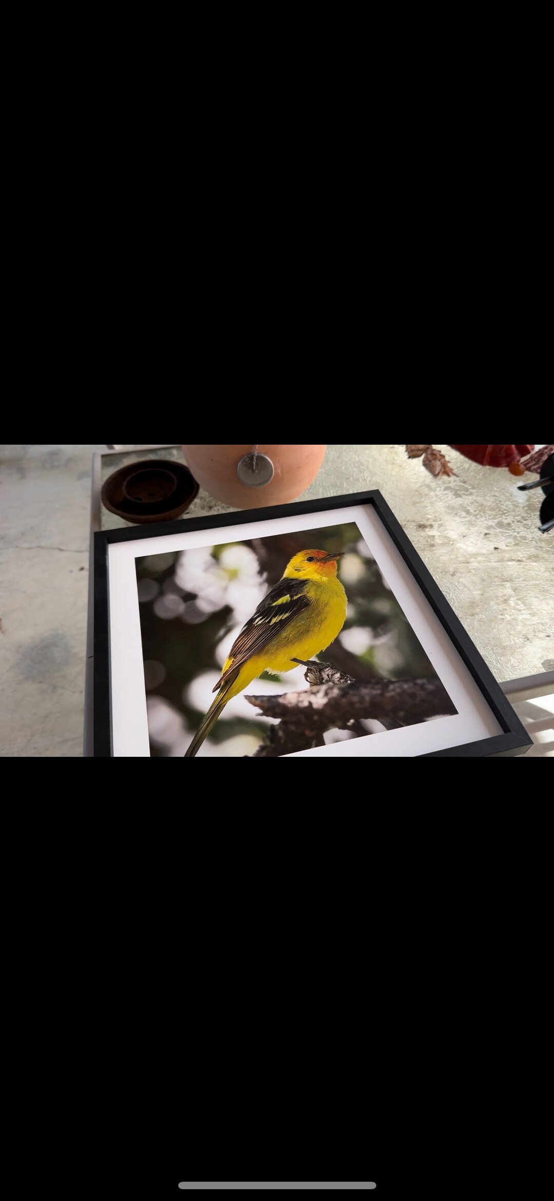 Bird Pictures Framed Ready to Hang Orig Art High Quality - Etsy