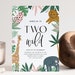 Two Wild Banner Safari Banner Girls 2nd Birthday Jungle - Etsy