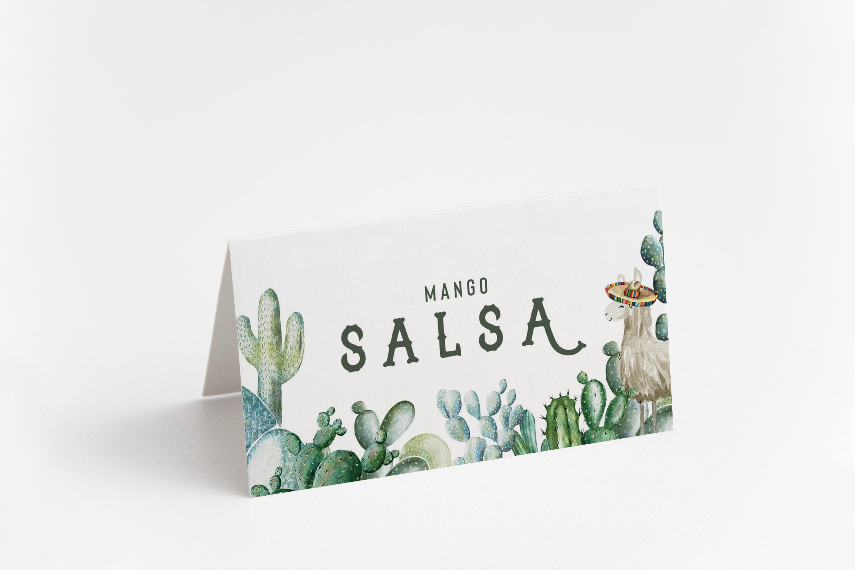 Editable Fiesta Party Signs First Fiesta Modern Fiesta Party | Etsy