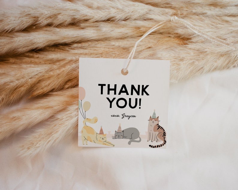 Cat Birthday Milestone Board Template Kitty Cat Birthday Party - Etsy