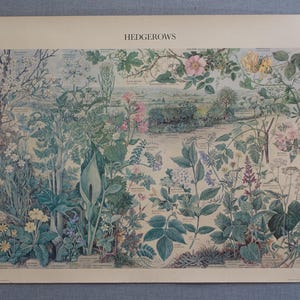 1976 Hedgerow Garden Poster - Original Vintage Poster - Etsy