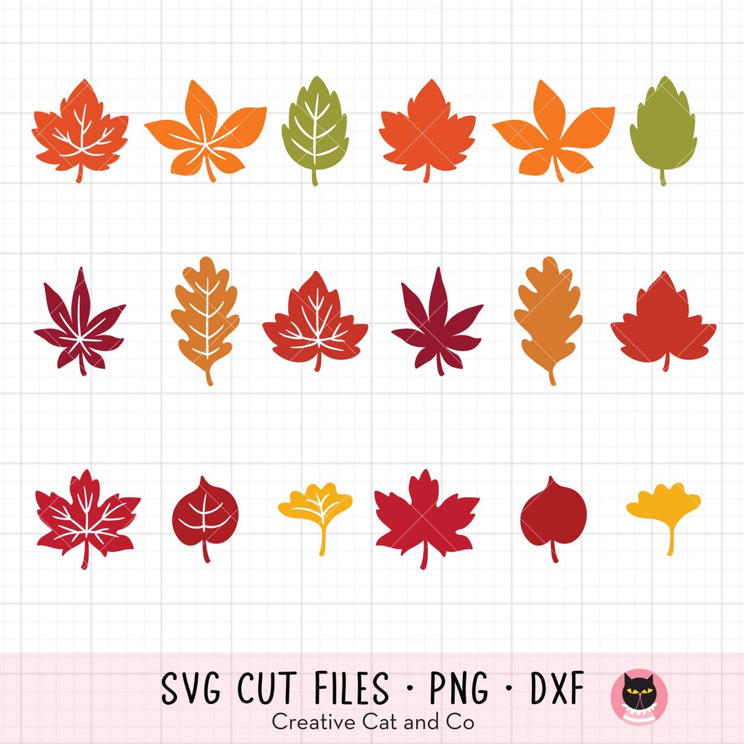 Fall Maple Leaves SVG PNG DXF Clip Art Bundle | 18 Single Leaves in ...