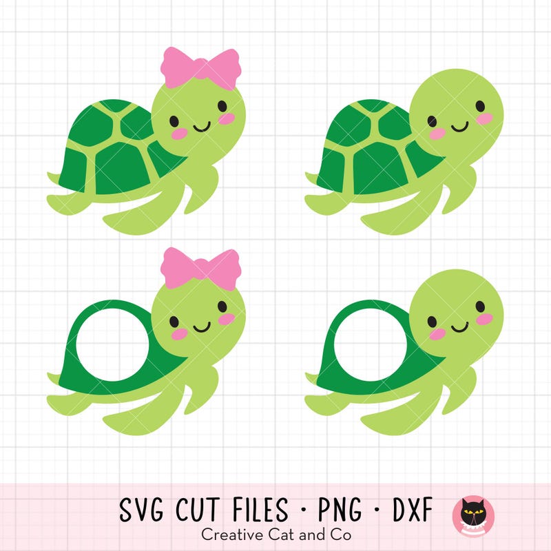 Cute Baby Girl Turtles - Etsy