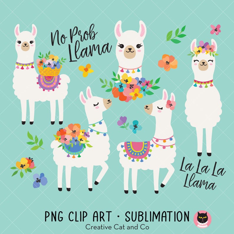 Llama Alpaca PNG Clipart | Cute Hand Drawn Llamas With Colorful Flowers ...