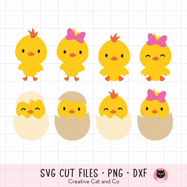 Hatching Chicks Card - Etsy