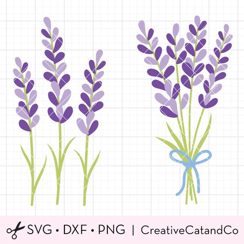 Lavender Svg Eps Png Dxf Clipart for Cricut and Silhouette - Etsy