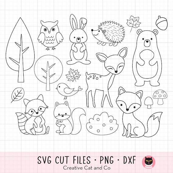 Disegni Da Colorare Di Animali Del Bosco