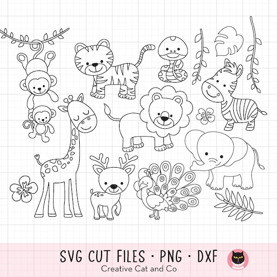 Dibujos Para Colorear De Animales De La Selva