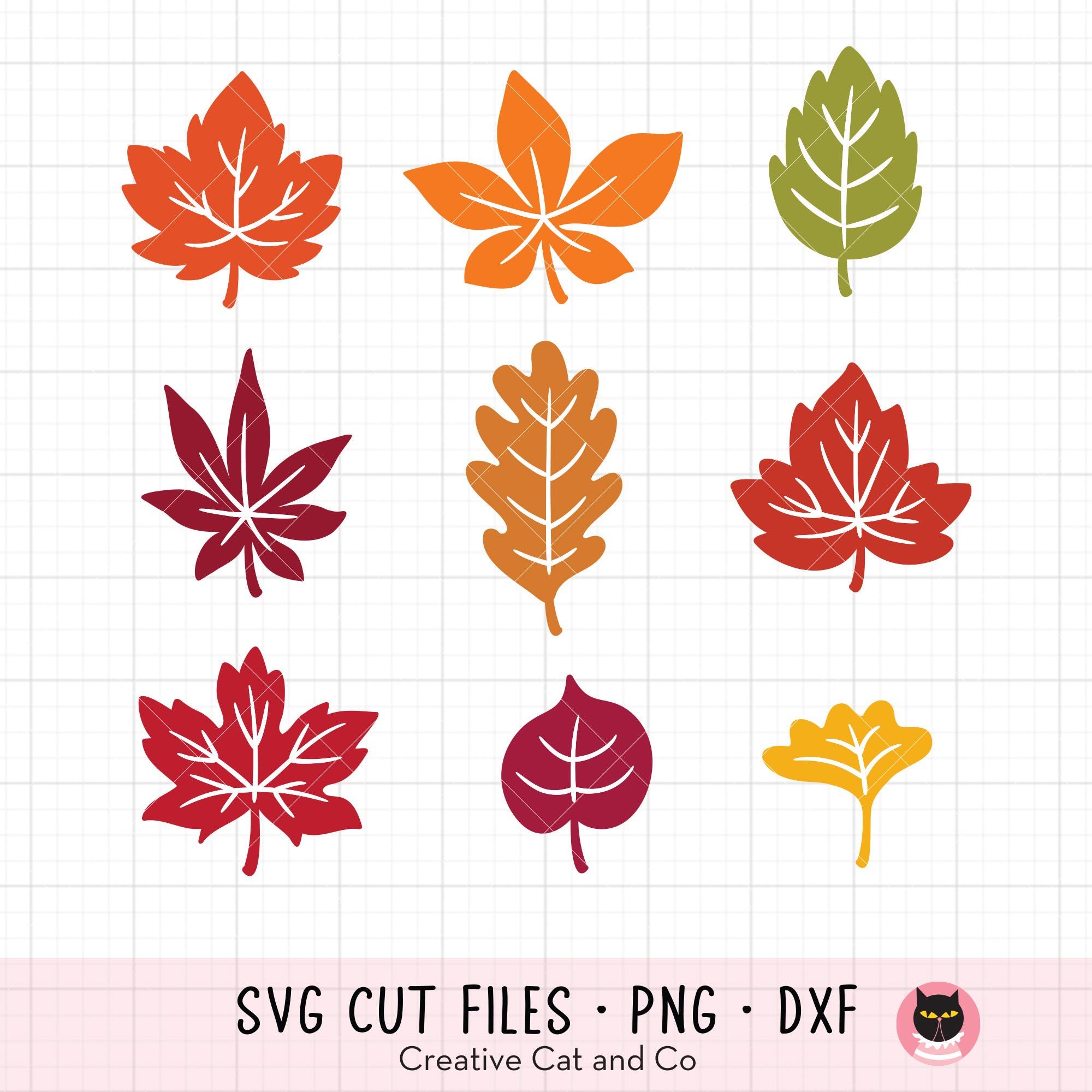 Fall Maple Leaves SVG PNG DXF Clip Art Bundle | 18 Single Leaves in ...