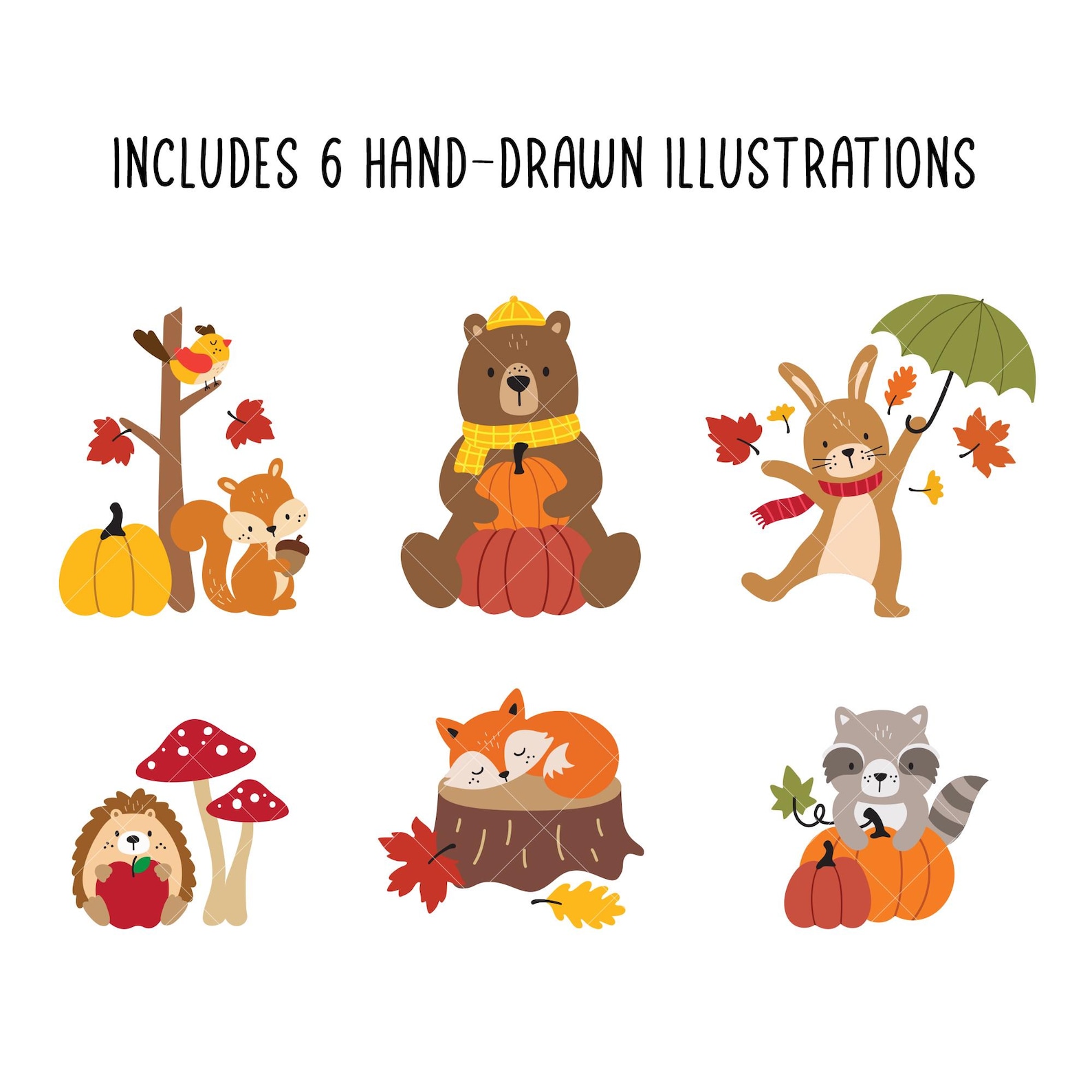Fall Woodland Animals PNG Clipart Bundle | Cute Autumn Forest Animals ...