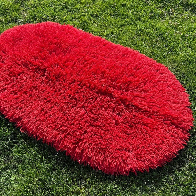 Shag Rug - Etsy