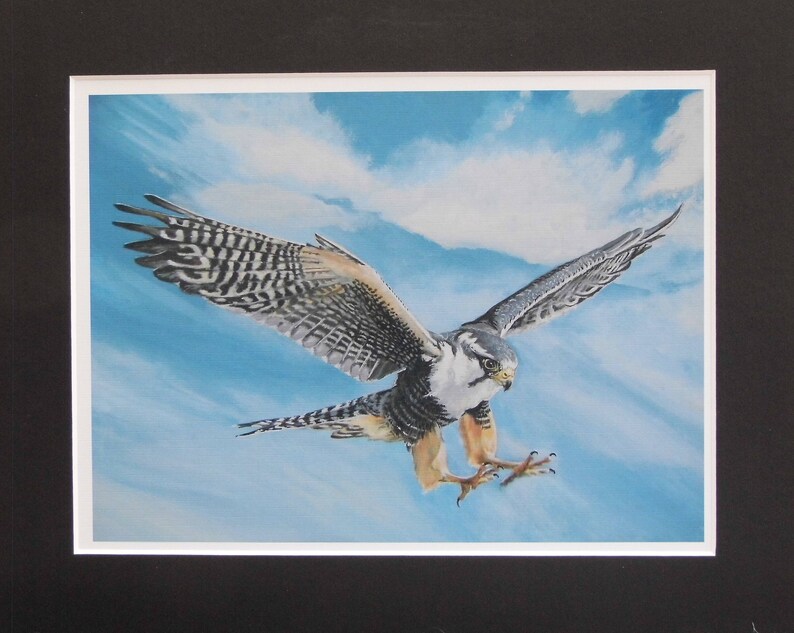 Falconry Art perfect gift falcon direct from artist HH | Etsy