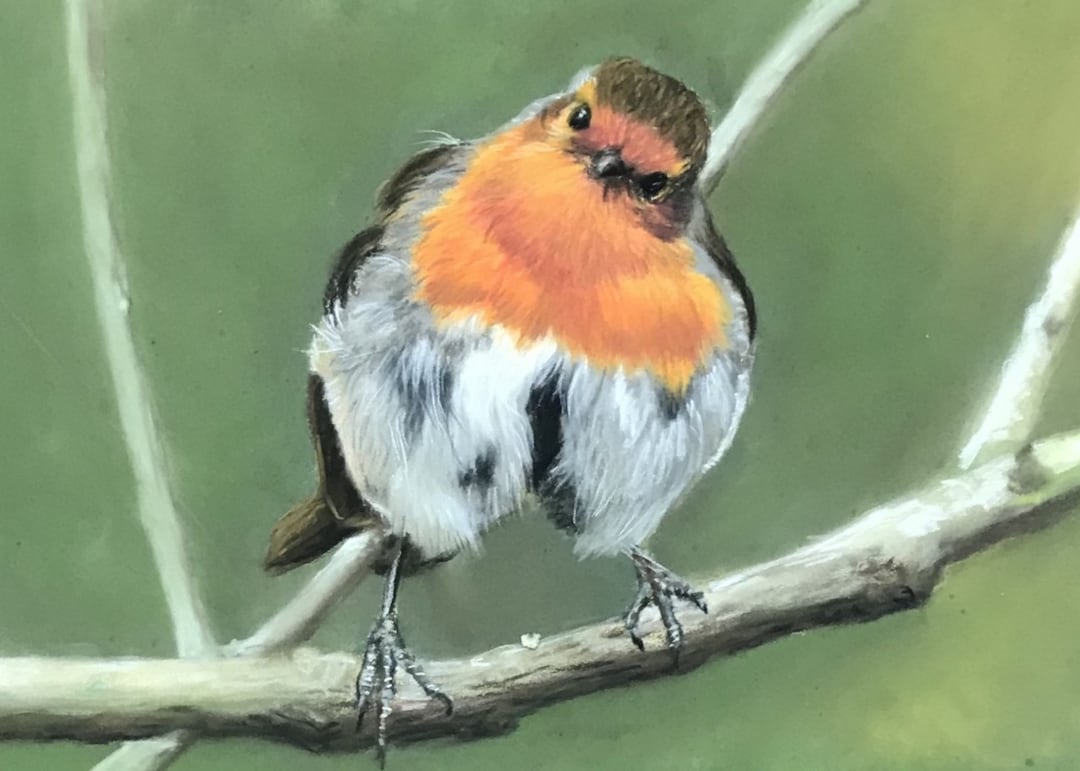 Robin Redbreast Print Direct From Artist Unique - Etsy