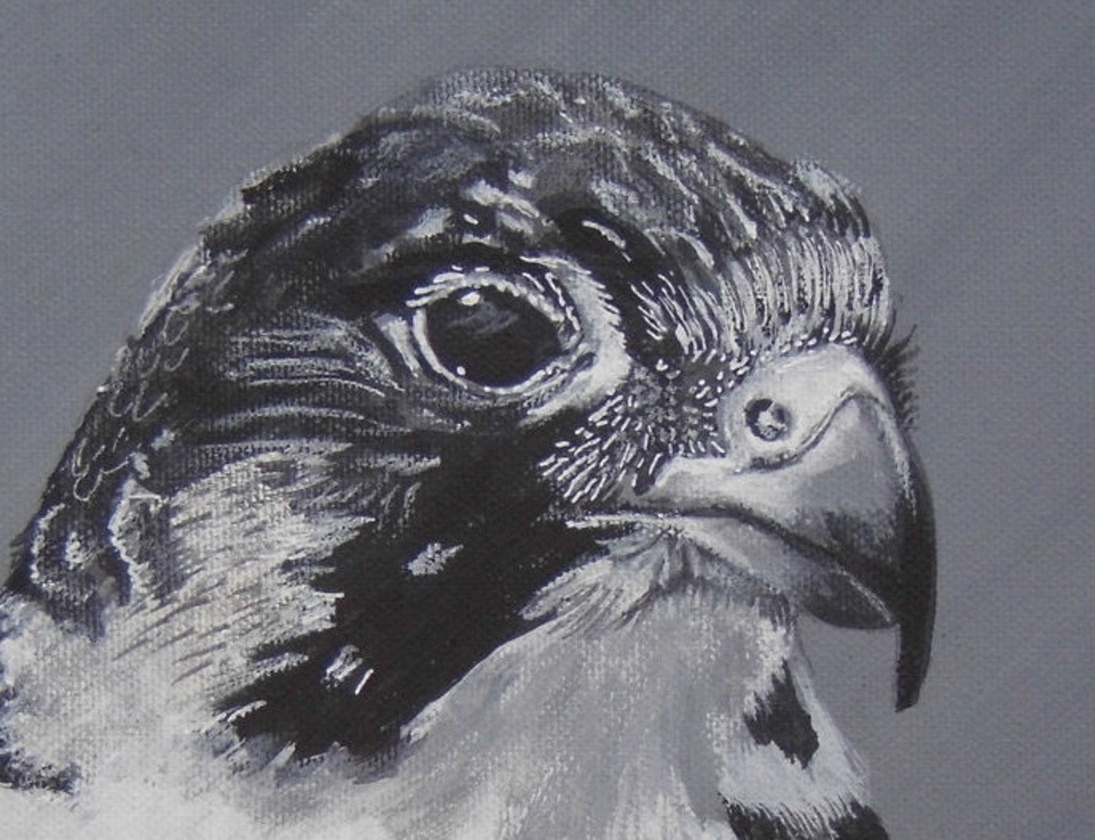 Peregrine Falcon Art Artist Print of Beautiful Bird of Prey - Etsy