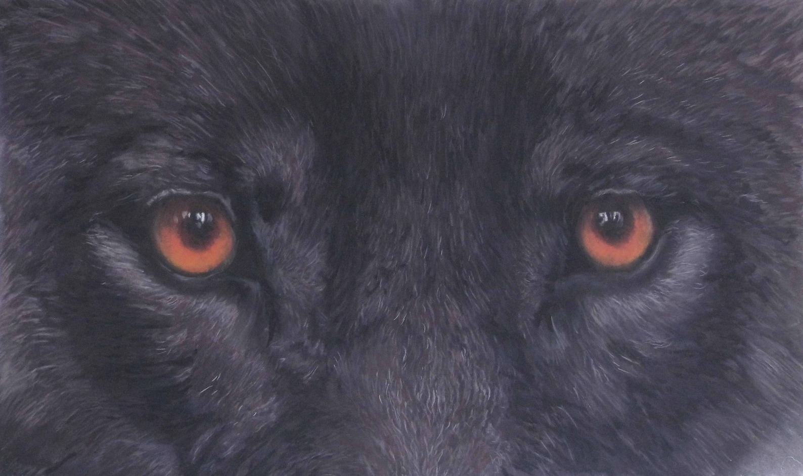 Spirit of Midnight Black Wolf Art Perfect Gift Limited - Etsy