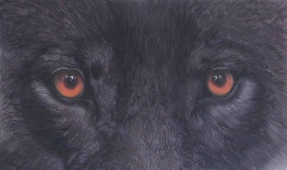 Spirit of midnight Black Wolf Art perfect gift Limited | Etsy