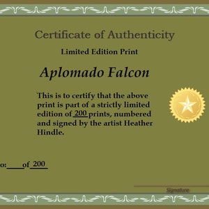 Falconry Art perfect Gift Falcon Direct From Artist HH - Etsy