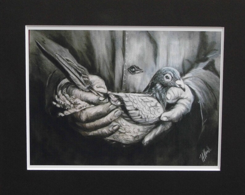 Pigeon Art A Bird in the Hand Pigeon Fancier Art Perfect - Etsy