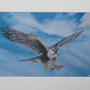 Falconry Art perfect Gift Falcon Direct From Artist HH - Etsy