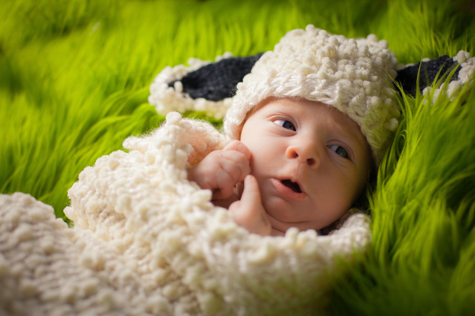 Loom Knit Newborn Cocoon Pattern, Sheep Lamb Cocoon and Hat Set, Loom ...
