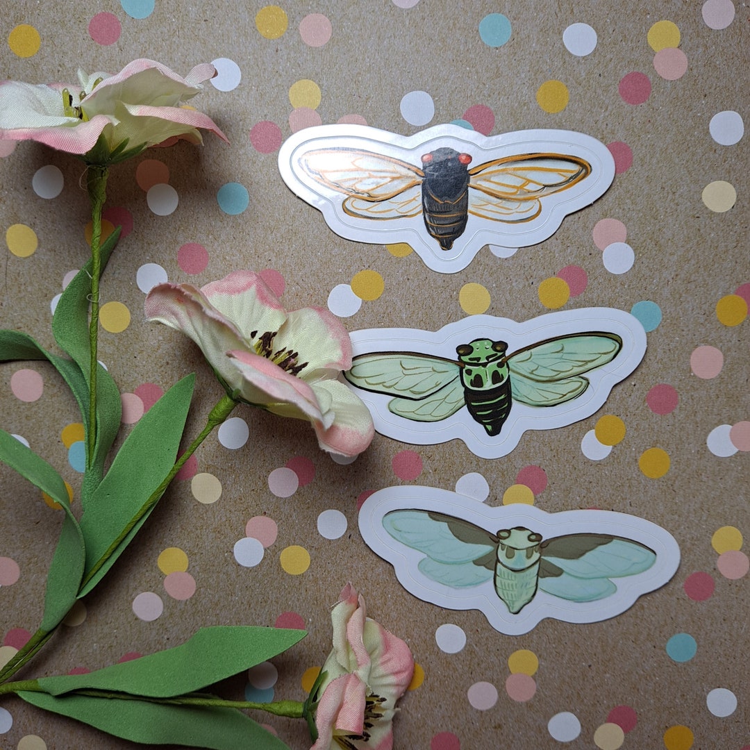 Cicada Species Stickers - Etsy