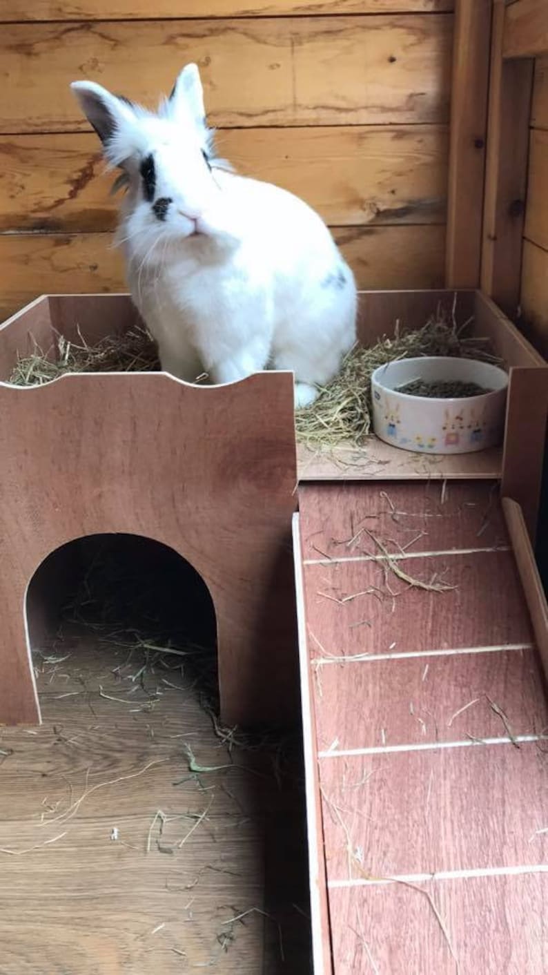 Large Rabbit Castle | Etsy