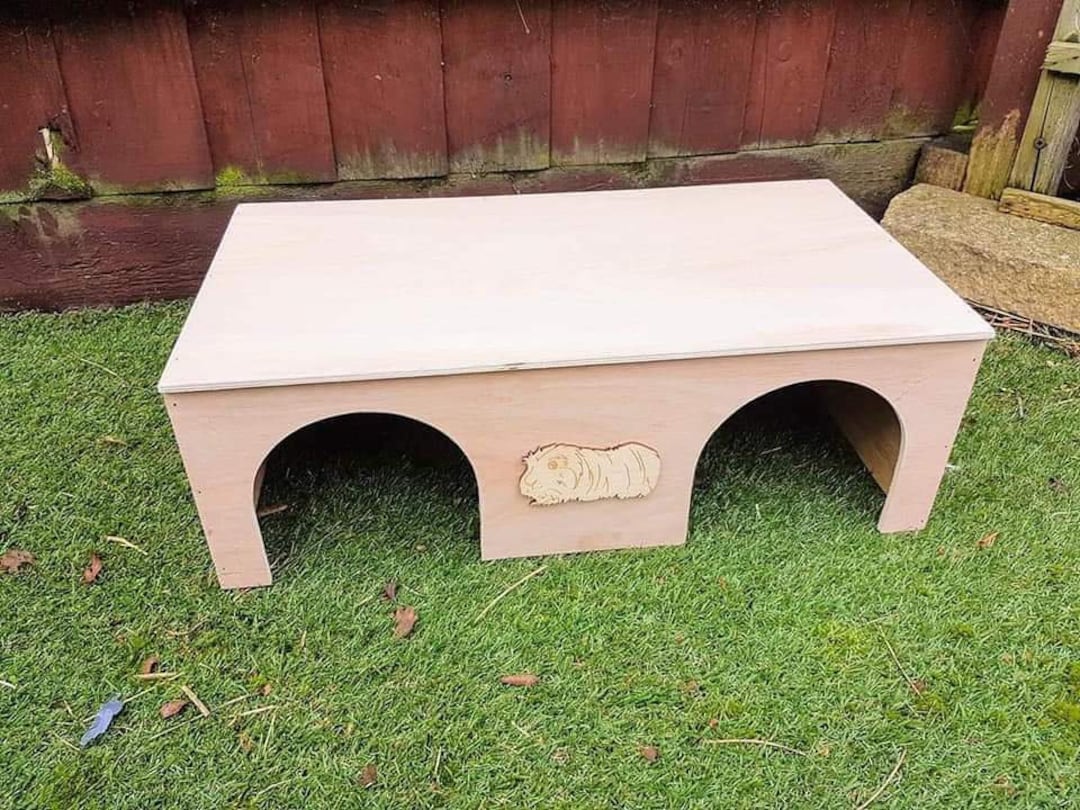 In and Out Double Entrance Guinea Pig House /shelter/hide/house - Etsy