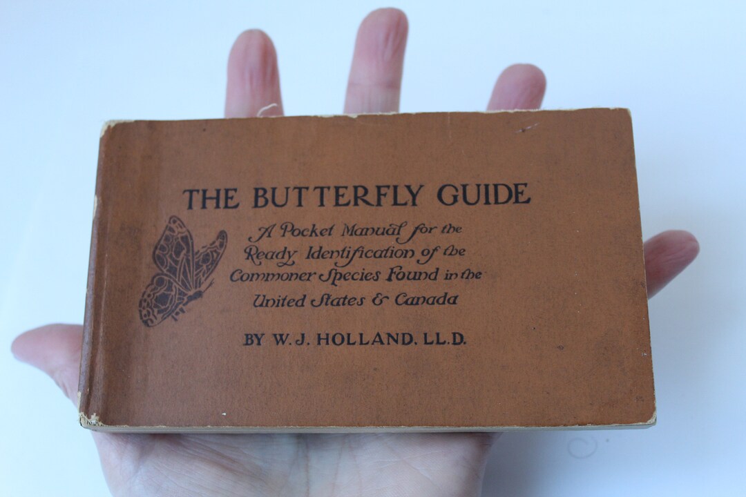 Antique 1916 Scarce Rare Vintage Butterfly Book Guide, Pocket Manual to ...
