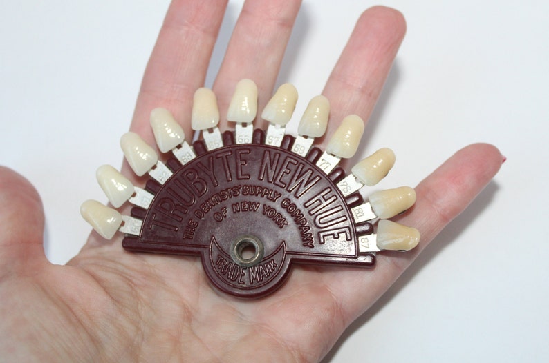 Vintage Dentists Trubyte New Hue Shade Guide With Dentsply - Etsy