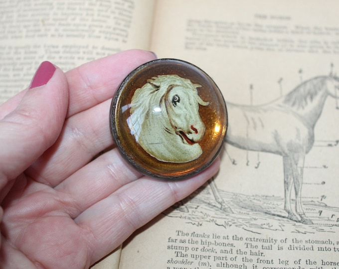Antique Victorian Era 1800s Horse Bridle Rosette Pin With White Horse ...