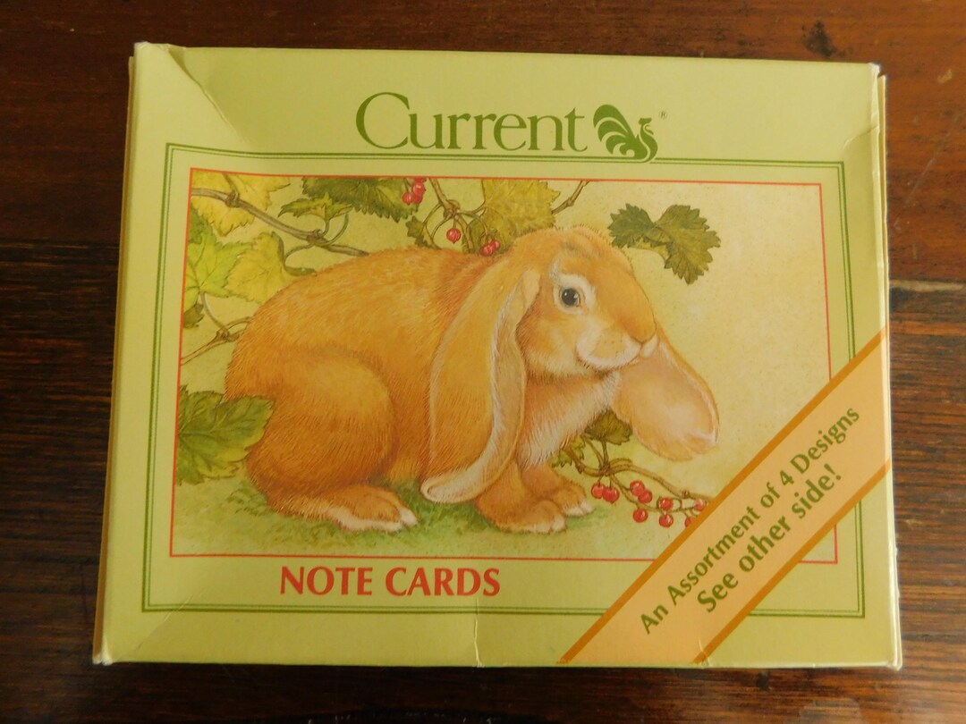Current Floppy-eared Bunnies 12 Note Cards With Envelopes in Unopened ...