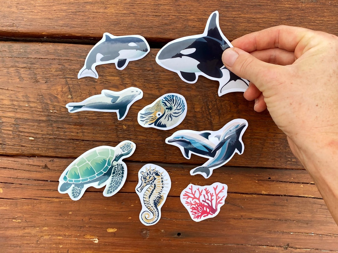 Ocean Life Sticker Pack, 8 Vinyl Stickers - Etsy