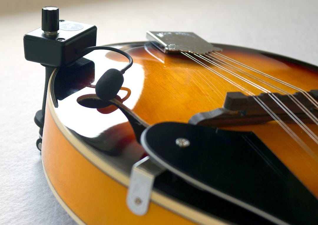 Mandolin Microphone / Quick Mount With 3" Flexible Micro-gooseneck by ...