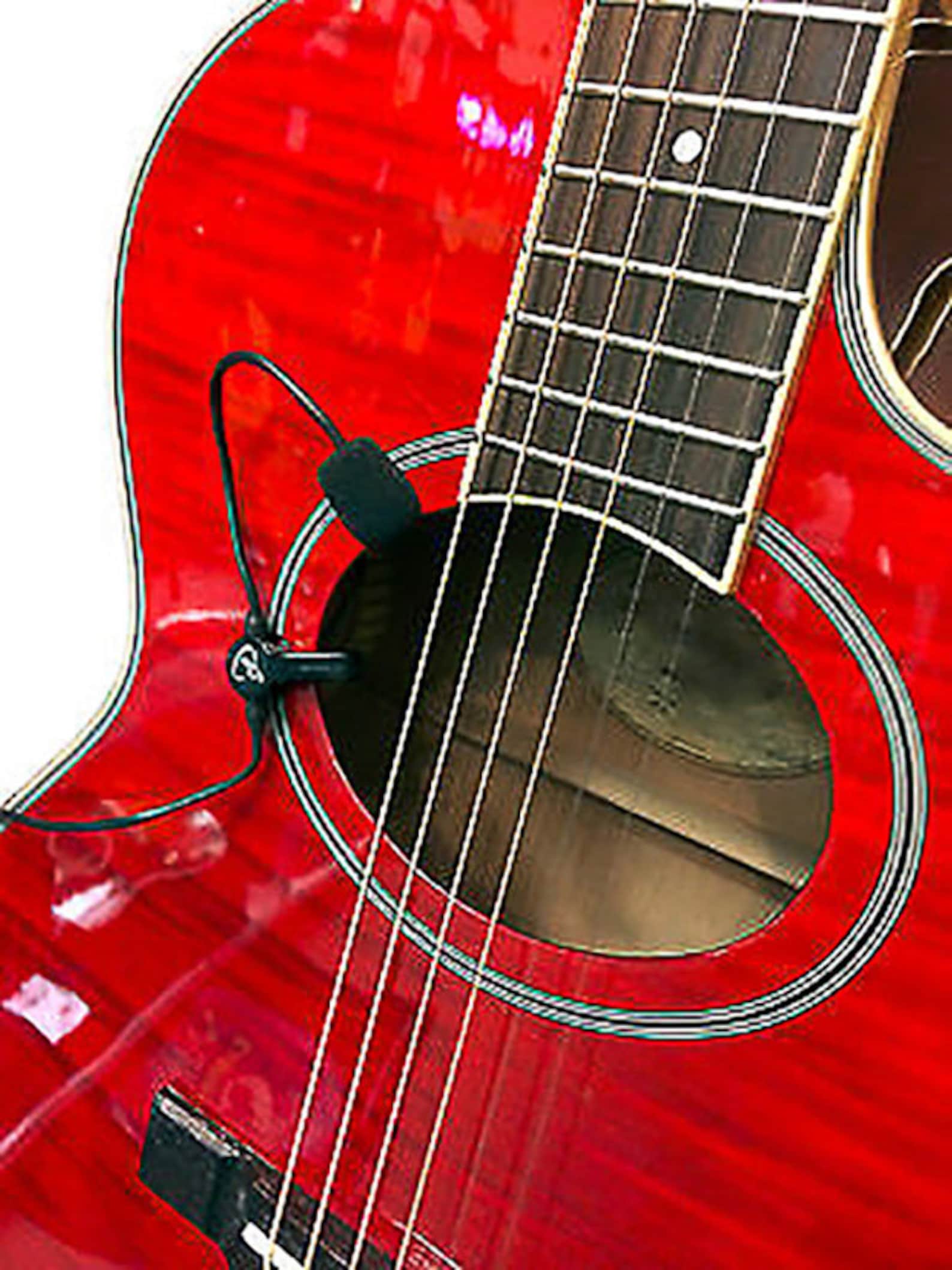Classical Guitar Microphone, "the Feather" With Flexible Micro-goose ...
